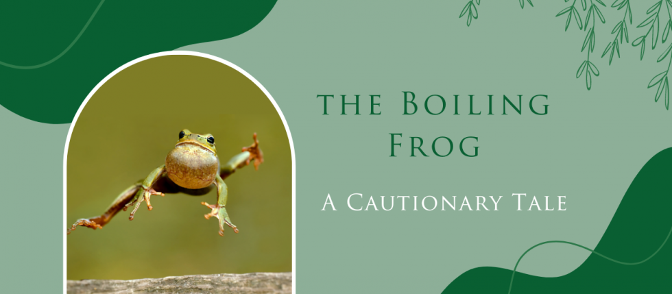 The Boiling Frog – A Cautionary Tale | The Well-being Alchemist